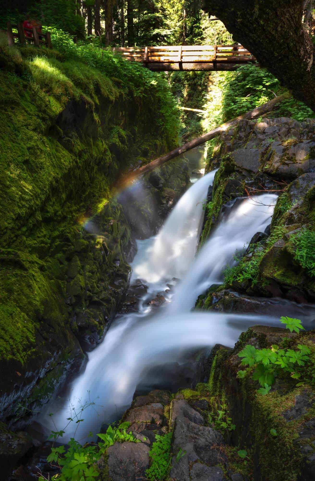 Sol Duc Falls ⋆ We Dream of Travel Blog