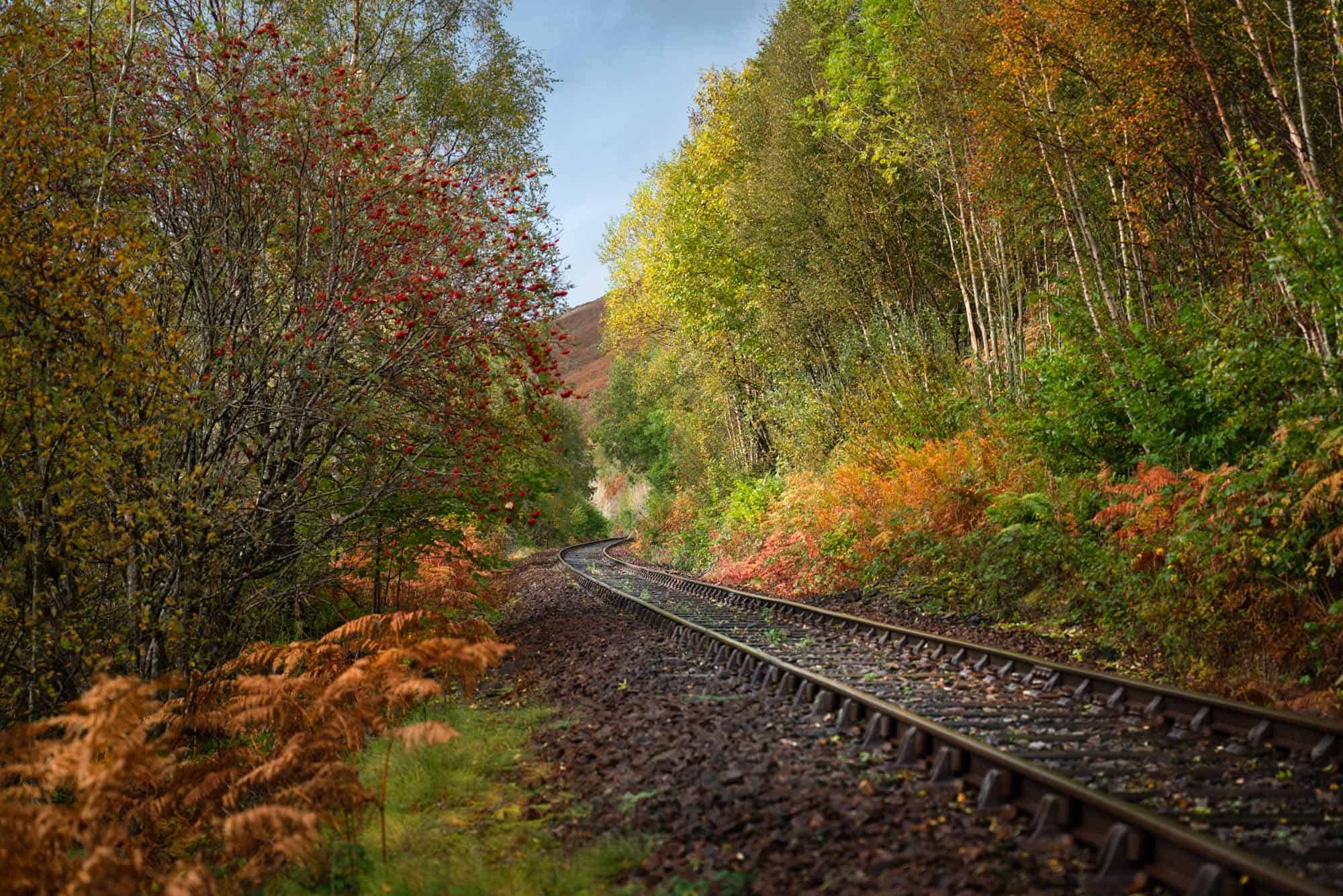 Scotland Autumn Colors ⋆ We Dream of Travel Blog