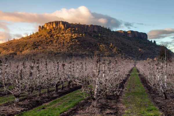 📸 17 Stunning Southern Oregon Photography Locations (2024) ⋆ We Dream ...