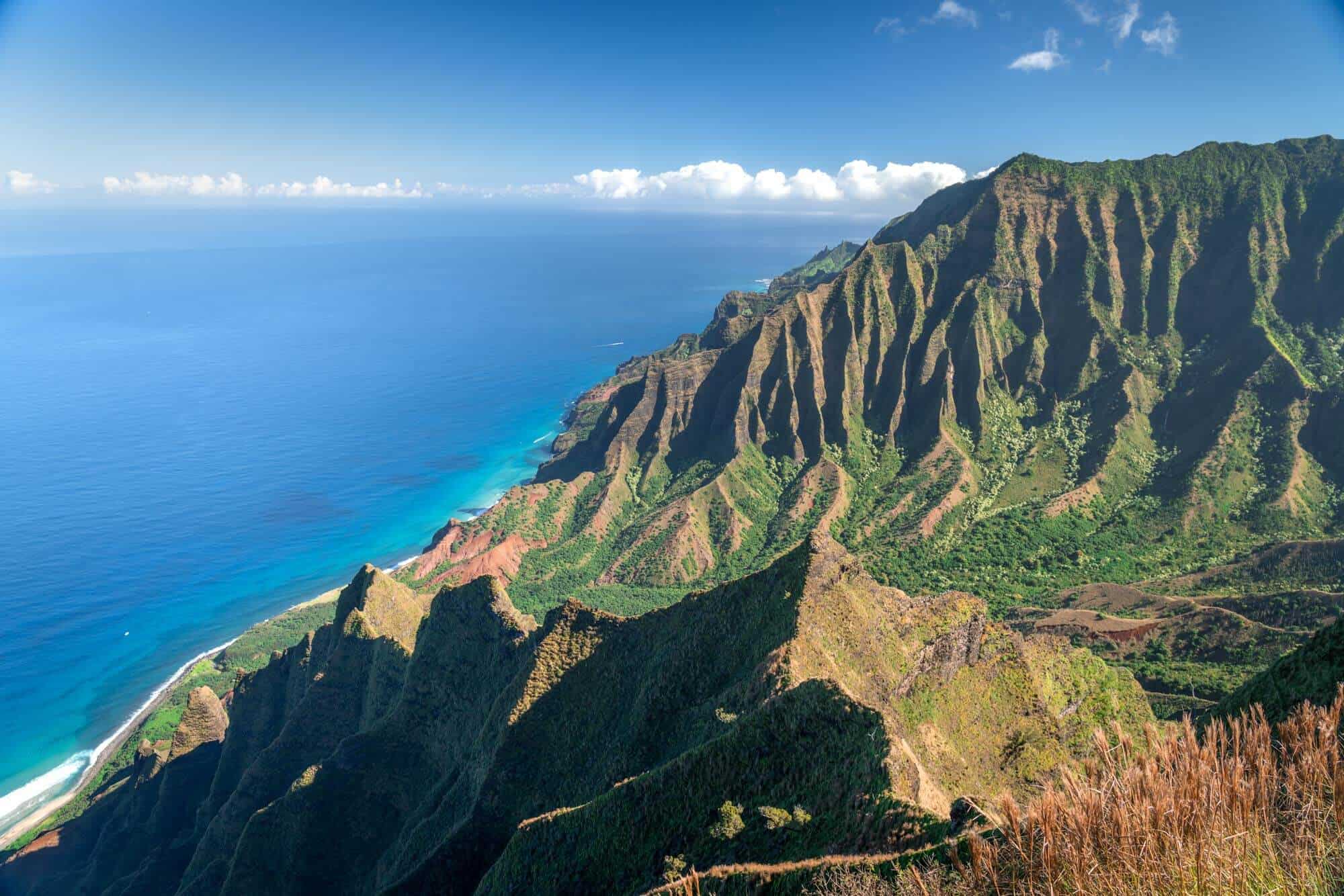 🥾 Hiking Kauai's Kalepa Ridge Trail: Ultimate Guide (2024)