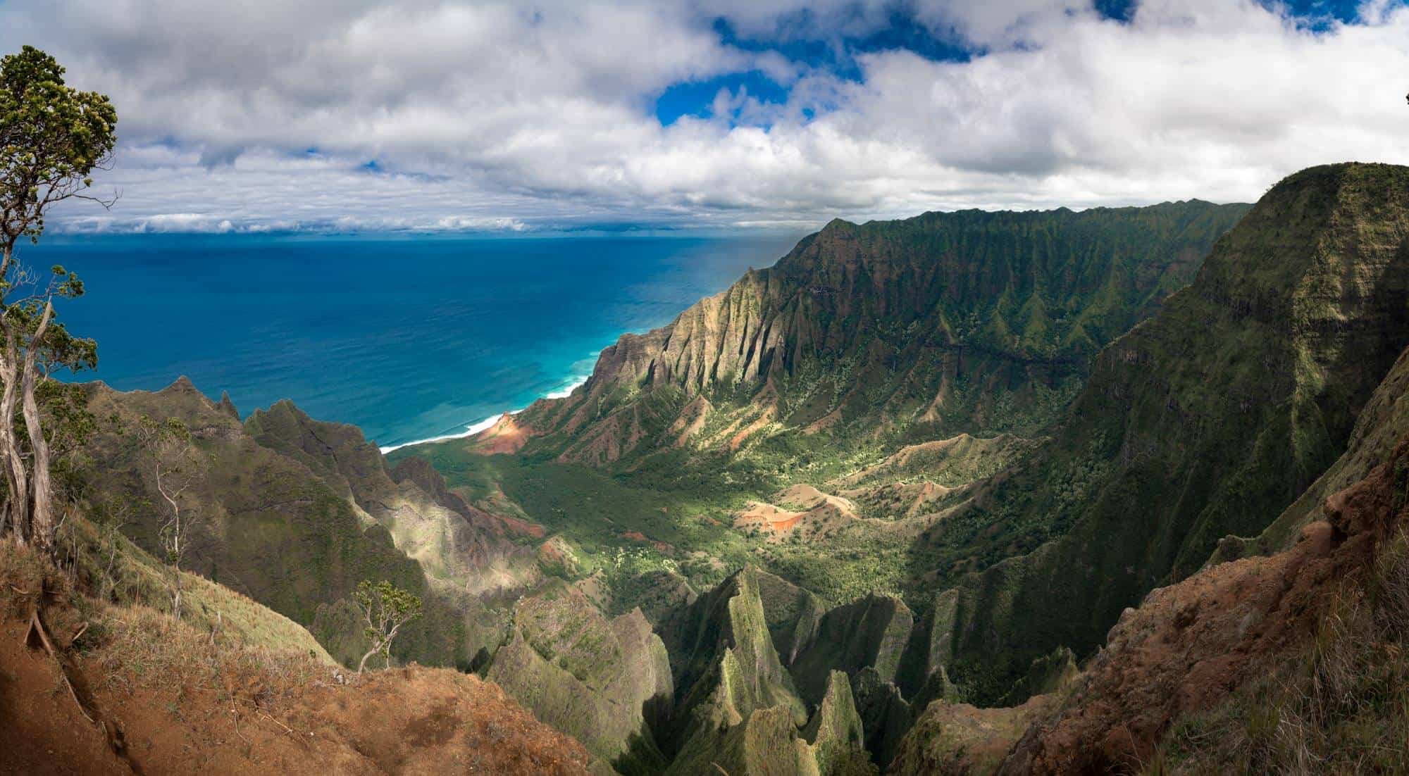 🥾 Hiking Kauai's Kalepa Ridge Trail: Ultimate Guide (2024)