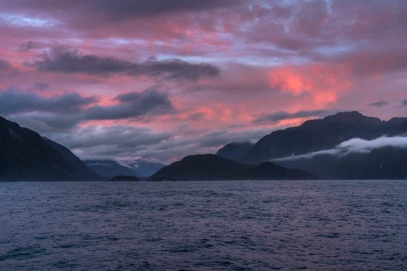🛳 Doubtful Sounds Overnight Cruise: 2024 Guide ⋆ We Dream of Travel Blog