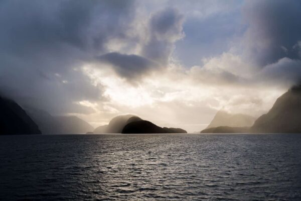 🛳 Doubtful Sounds Overnight Cruise: 2024 Guide ⋆ We Dream of Travel Blog