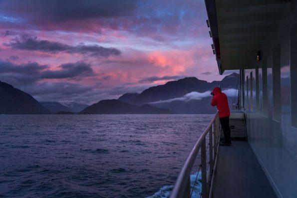 🛳 Doubtful Sounds Overnight Cruise: 2024 Guide ⋆ We Dream of Travel Blog