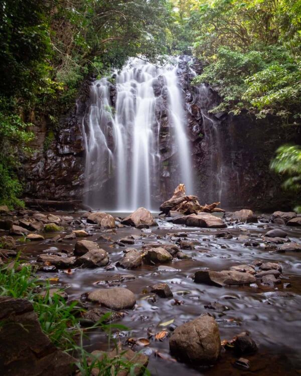 💦 33 Best Waterfalls Near Cairns for some Epic Day Trips