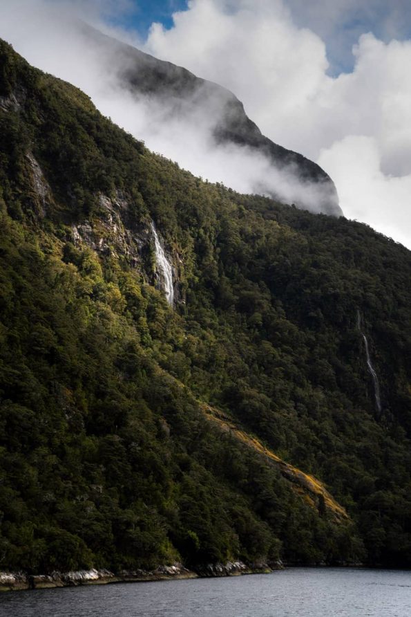 🛳 Doubtful Sounds Overnight Cruise: 2024 Guide ⋆ We Dream of Travel Blog