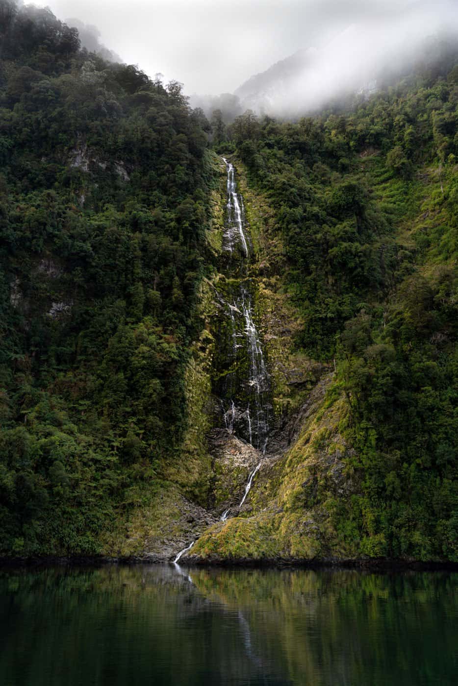 🛳 Doubtful Sounds Overnight Cruise: 2024 Guide ⋆ We Dream of Travel Blog