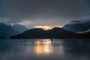 Doubtful Sounds Overnight Cruise: Complete 2022 Guide ⋆ We Dream of ...