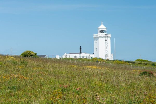 🌼 White Cliffs of Dover from London: An Ideal Day Trip Itinerary ⋆ We ...