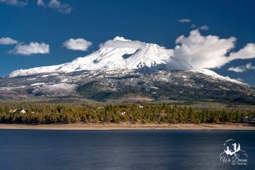 The Perfect Northern California Road Trip: Stops, Maps, & More ⋆ We ...