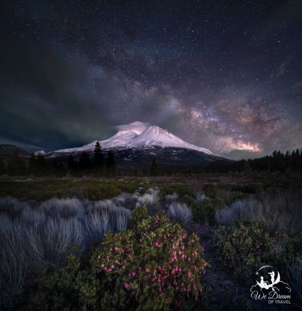 🚗 Perfect NorCal Road Trip Itinerary: 15 Epic Stops (2024)