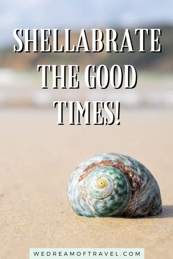 🏝On The Beach Quotes: 200 Best Quotes About The Beach (2024) ⋆ We Dream ...