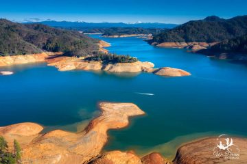 🌲 Shasta-Trinity National Forest: Best Hikes & Sights (2024)