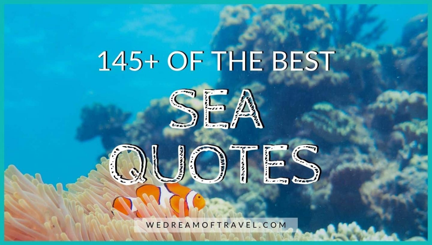 150 Beautiful Sea Quotes Captions For Ocean Lovers 2022 We Dream 150 Beautiful Sea Quotes Captions For Ocean Lovers 2022 We Dream