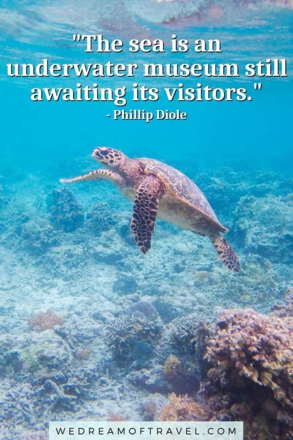 🌊 155 Beautiful Sea Quotes & Captions for Ocean Lovers (2024) ⋆ We ...