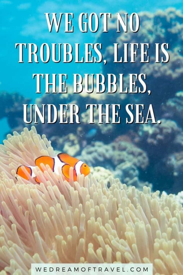 🌊 155 Beautiful Sea Quotes & Captions for Ocean Lovers (2024) ⋆ We ...