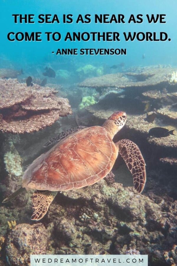 🌊 155 Beautiful Sea Quotes & Captions for Ocean Lovers (2024) ⋆ We ...