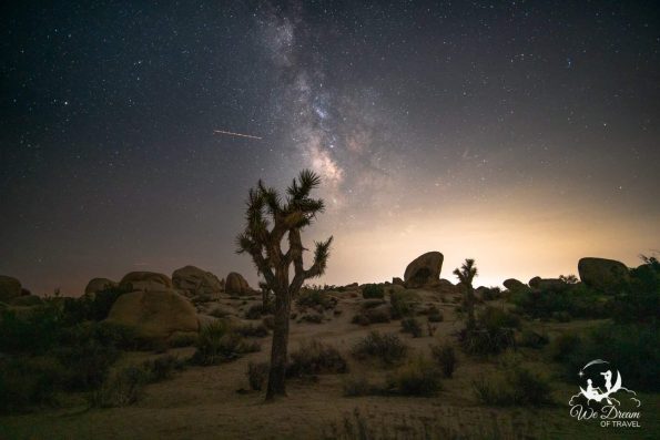 📸 Joshua Tree Photography: Best Spots for Night, Sunset & Sunrise
