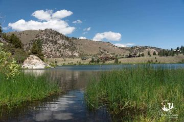June Lakes Loop Drive Ultimate Guide: Hikes & Sights (2024) ⋆ We Dream ...