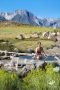 Hot Springs in Mammoth Lakes: 10 Natural Hot Springs You Need to Visit ...