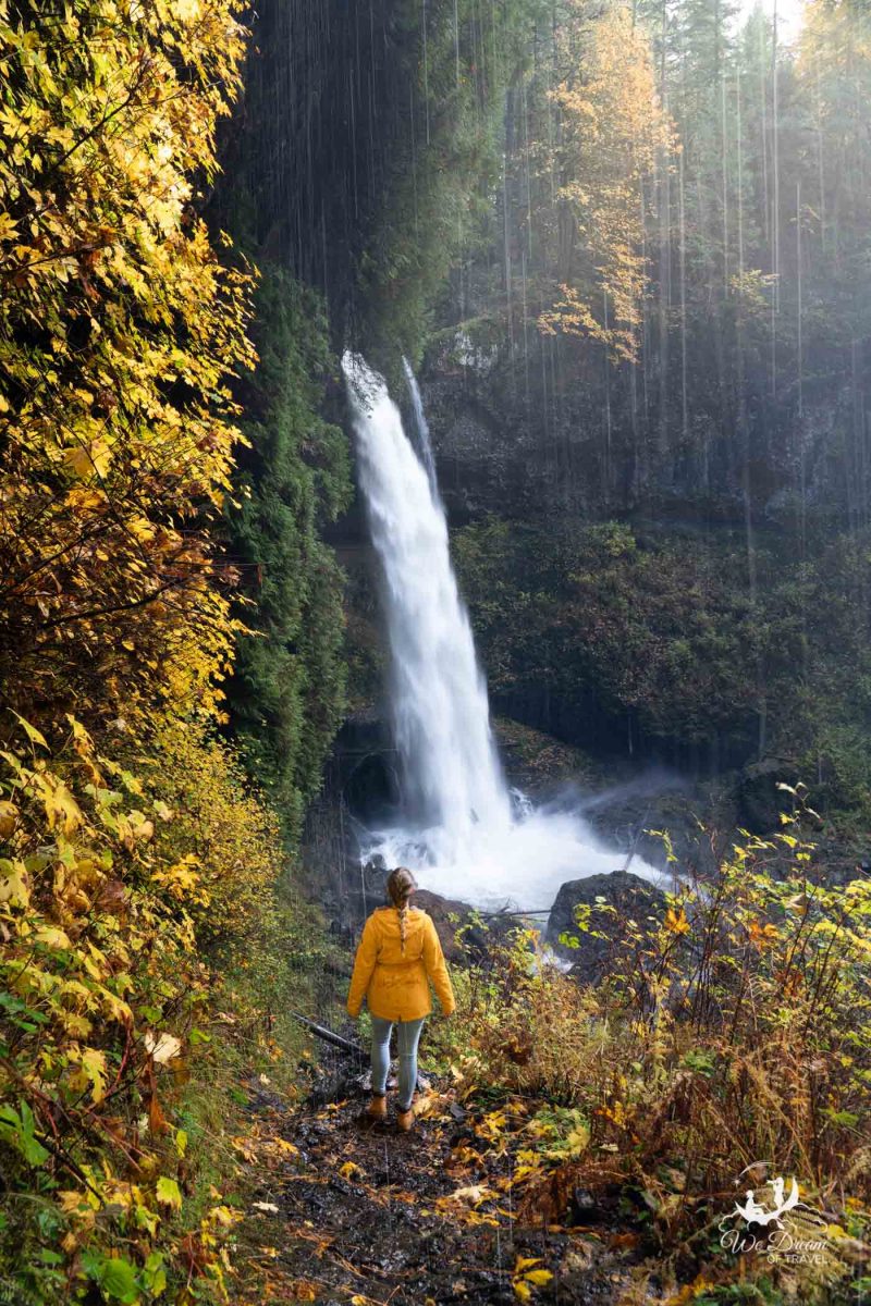🌲 Ultimate Guide to Trail of 10 Falls & Silver Falls State Park (2024)