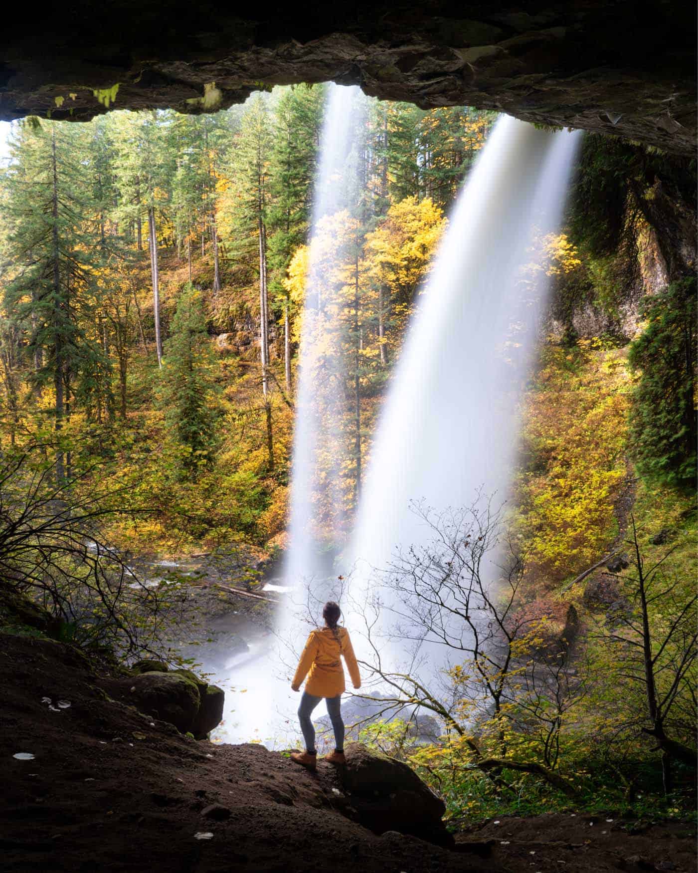 2024 Guide to North Falls, Oregon in Silver Falls State Park ⋆ We Dream ...