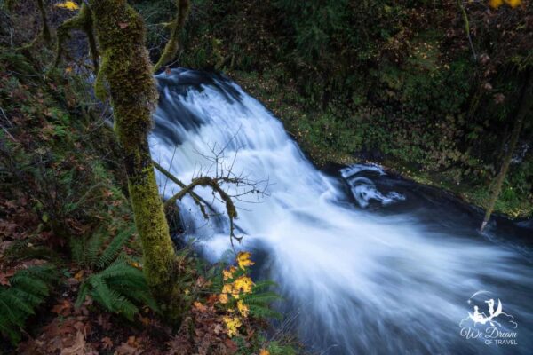 🌲 Ultimate Guide to Trail of 10 Falls & Silver Falls State Park (2024)