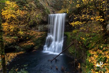 🥾 21 Magical Waterfalls in Oregon with Fun & Easy Hikes (2024)
