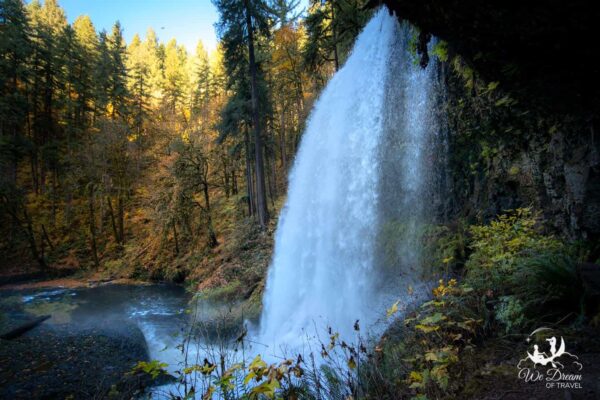 Middle North Falls 2024 Guide (Silver Falls Park, Oregon) ⋆ We Dream of ...