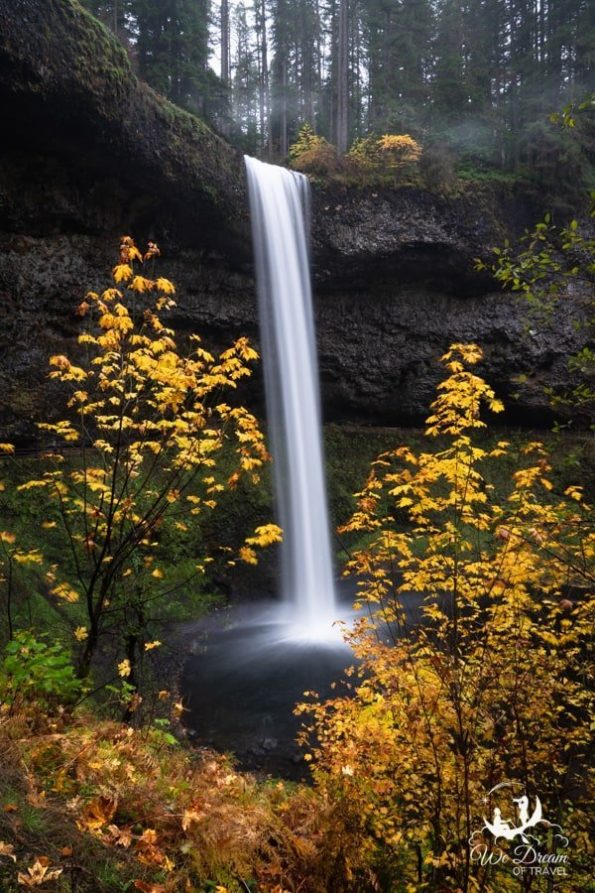 🌲 Top 25 Best State Parks in Oregon for Nature Lovers (2024)