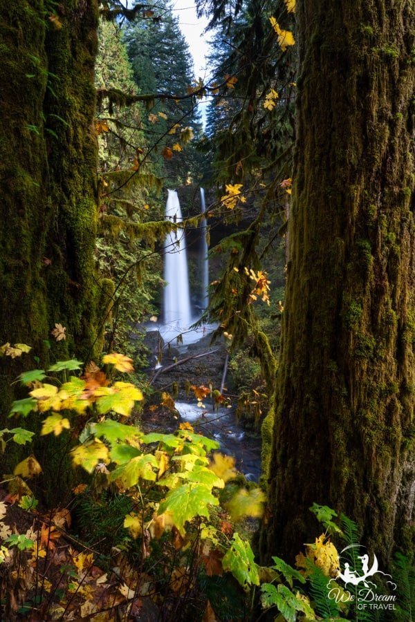 2024 Guide to North Falls, Oregon in Silver Falls State Park ⋆ We Dream ...