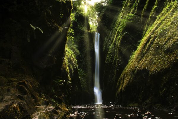 🥾 21 Magical Waterfalls in Oregon with Fun & Easy Hikes (2024)