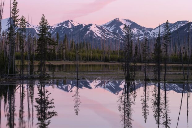 🌲 Top 25 Best State Parks in Oregon for Nature Lovers (2024)