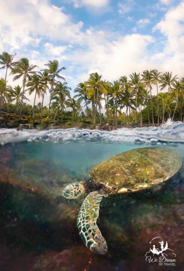 Photographing Hawaii: Photography Tips & Epic Locations! (2022)