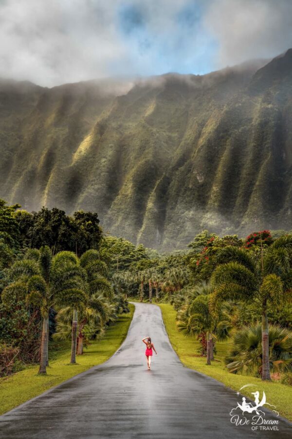 Photographing Hawaii: Photography Tips & Epic Locations! (2022)