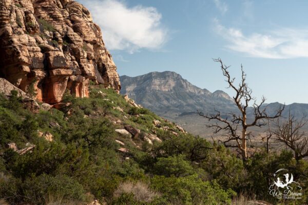Red Rock Canyon Scenic Drive: Best Stops, Hikes & Permit Info