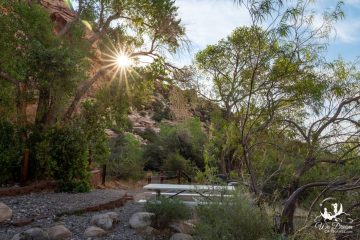 Red Rock Canyon Scenic Drive: Best Stops, Hikes & Permit Info