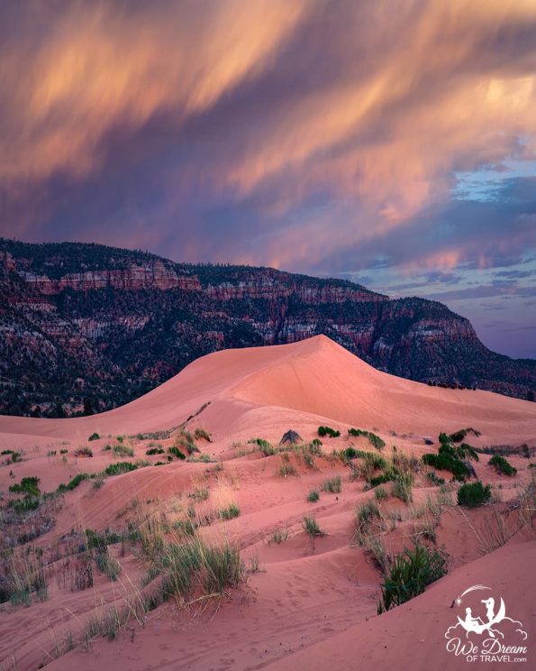 🏜 25 Epic Things to Do in Page, AZ: Famous & Hidden Gems