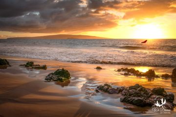 🏝 All 15 Kihei Beaches Explained: The Ultimate 2024 Guide ⋆ We Dream of ...