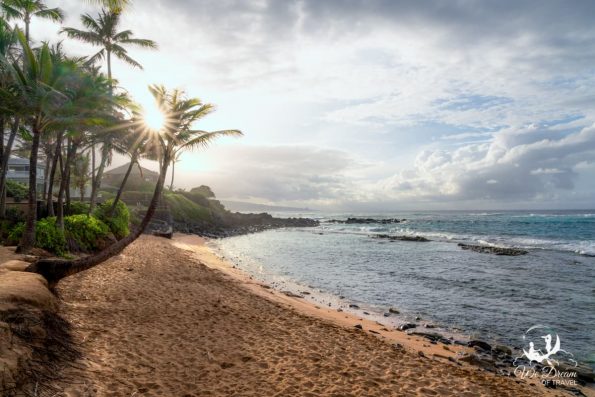 Mama's Fish House Beach (Kuau Cove): The Complete Guide ⋆ We Dream of ...