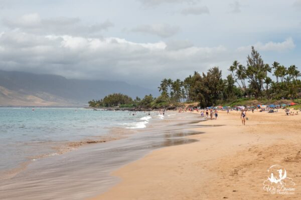 🏝 Charley Young Beach (Maui): Complete 2024 Guide