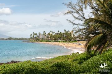 🏝 All 15 Kihei Beaches Explained: The Ultimate 2024 Guide ⋆ We Dream of ...