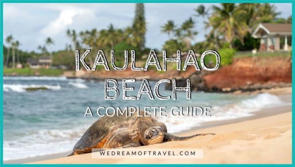 🐢 Kaulahao Beach / Kuau Beach: Ultimate Guide for Turtle Lovers