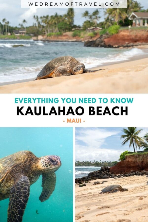 🐢 Kaulahao Beach / Kuau Beach: Ultimate Guide for Turtle Lovers