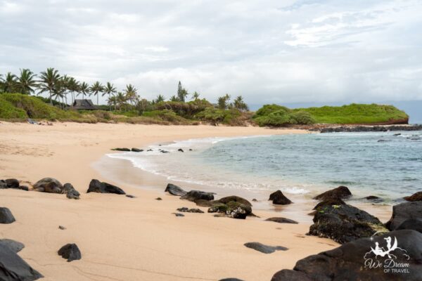 🐢 Kaulahao Beach / Kuau Beach: Ultimate Guide for Turtle Lovers