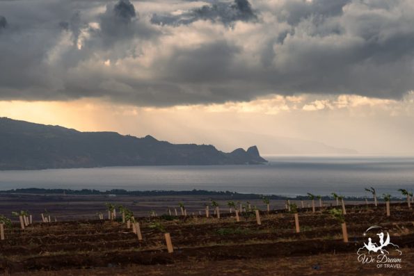 🌅 10 Maui Sunset Spots for Incredible Photos (2024)