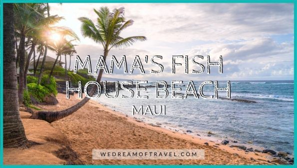 Mama's Fish House Beach (Kuau Cove): The Complete Guide ⋆ We Dream of ...