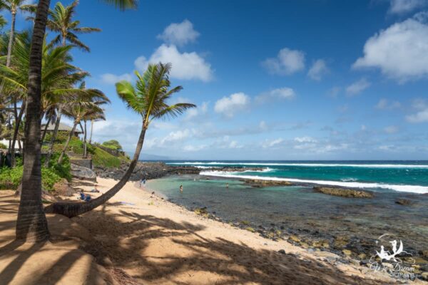 Mama's Fish House Beach (Kuau Cove): The Complete Guide ⋆ We Dream of ...