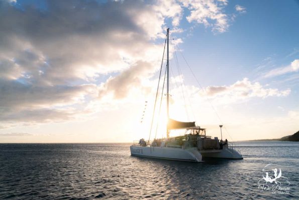 5-7 Day Maui Itinerary for 2023: Secret Beaches, Turtles, & More