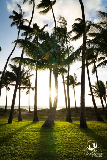 Lipoa Street Beach: The Complete Guide to Kihei's Hidden Gem ⋆ We Dream ...